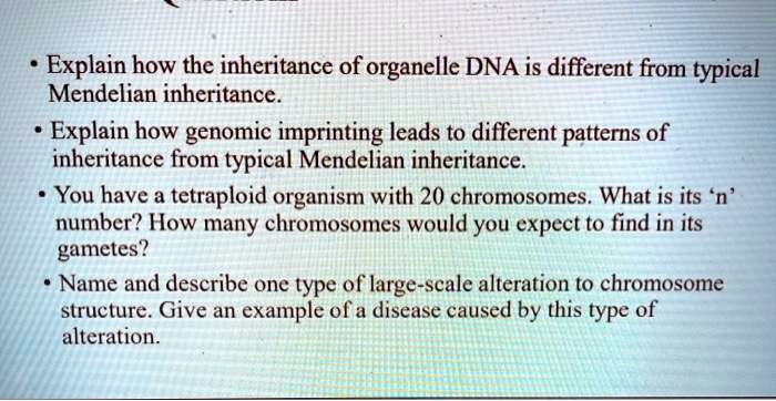SOLVED: Explain how the inheritance of organelle DNA is different from typical Mendelian ...