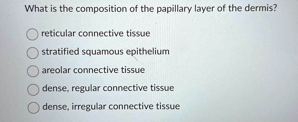 What is the composition of the papillary layer of the dermis? reticular ...