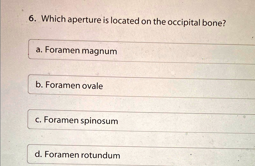 6. Which aperture is located on the occipital bone? a. Foramen magnum b ...