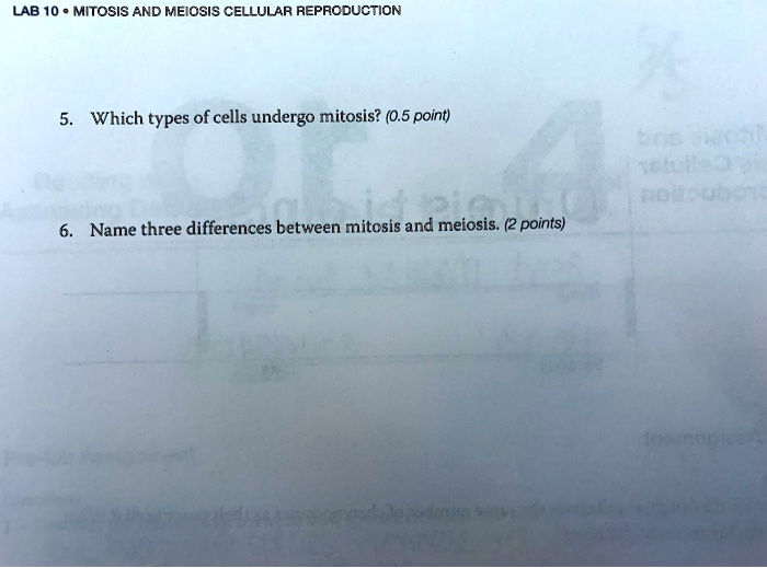 lab 10 mitosis and meiosis cellular reproduction which types of cells ...