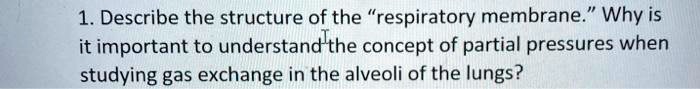 Describe the structure of the "respiratory membrane." Why is it ...