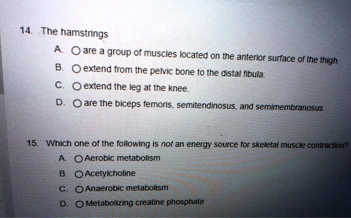 14. The hamstrings A. ? are a group of muscles located on...