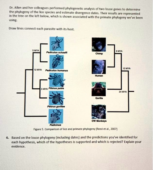 SOLVED: Dr: Allen and her colleagues performed phylogenetic analysis of ...