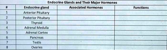 SOLVED: Endocrine Glands and Their Major Hormones Endocrine gland ...
