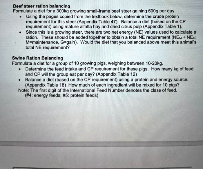 beef steer ration balancing formulate a diet for a 300kg growing small ...