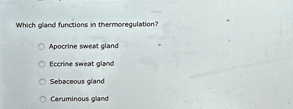 which gland functions in thermoregulation apocrine sweat gland eccrine ...