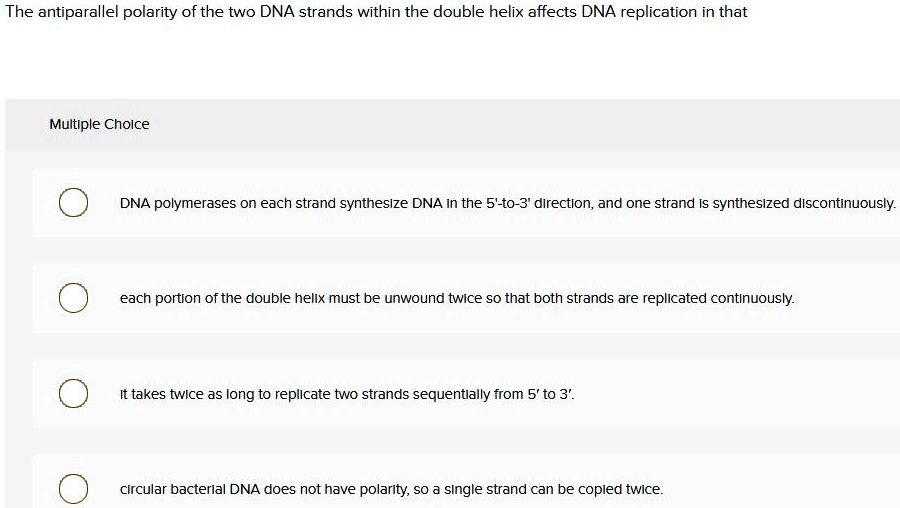 SOLVED The Antiparallel Polarity Of The Two DNA Strands Within The SOLVED The Antiparallel Polarity Of The Two DNA Strands Within The