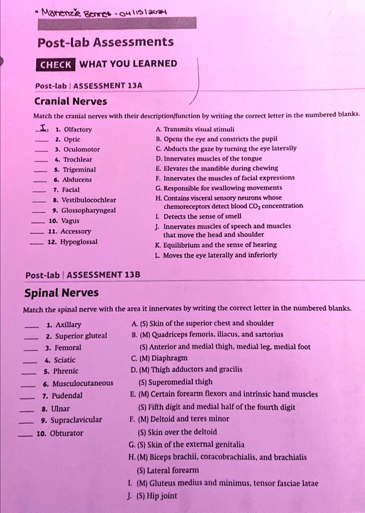 makenze bennet 04 lisi 2024 post lab assessments check what you learned ...