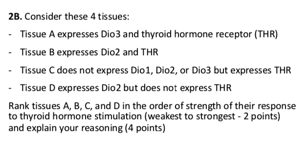 2B. Consider these 4 tissues: - Tissue A expresses Dio3 and...