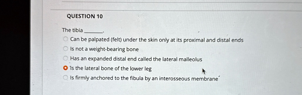 QUESTION 10 The tibia . Can be palpated (felt) under the skin only at ...