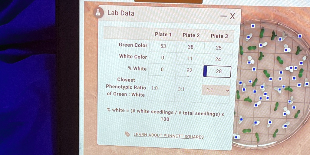 VIDEO solution: Lab Data Plate Plate 2 Plate 3 Green Color 53 38 25 ...