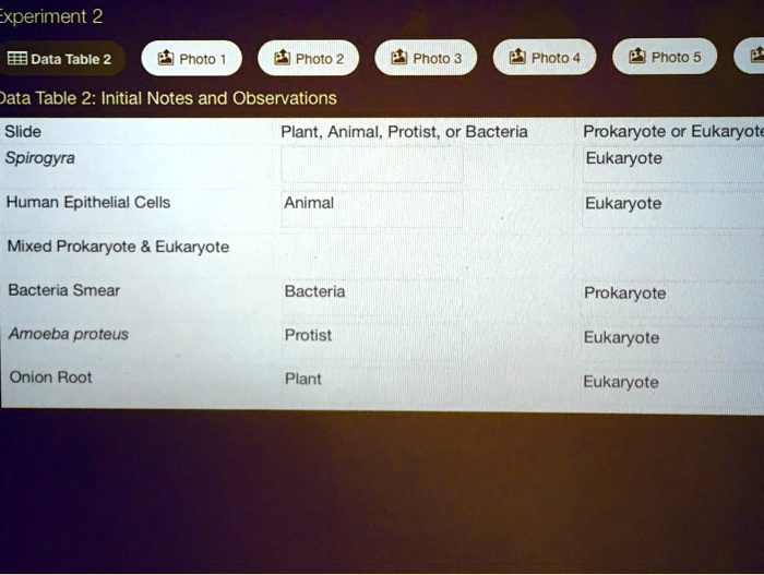 Experiment 2 Data Table 2 Photo 1 Photo 2 Photo 3 Photo 4 Photo 5 Data ...