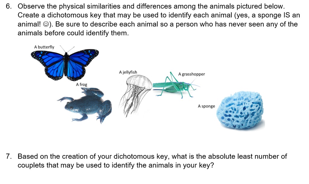 SOLVED:6_ Observe the physical similarities and differences among the ...
