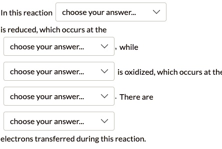 SOLVED: Consider the following galvanic (voltaic) cell when answering ...