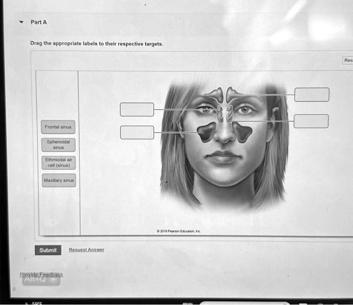 [GET ANSWER] Part A Drag the appropriate labels to their respective ...