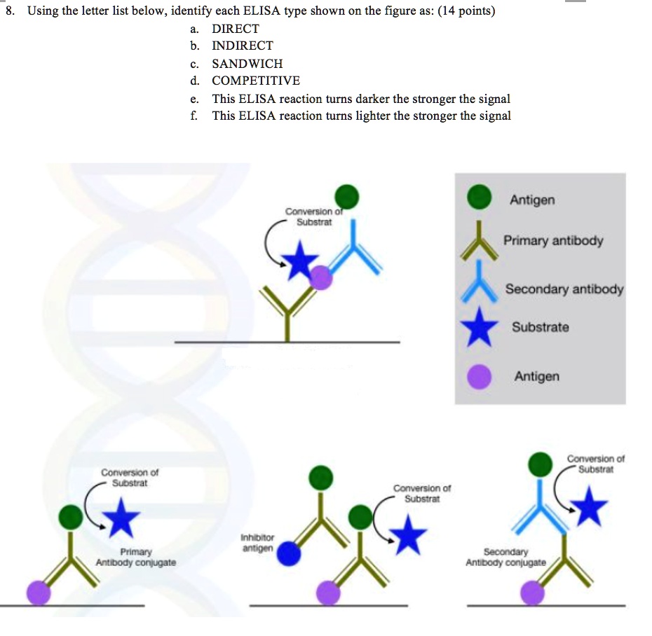 using the letter list below identify each elisa type shown on the ...