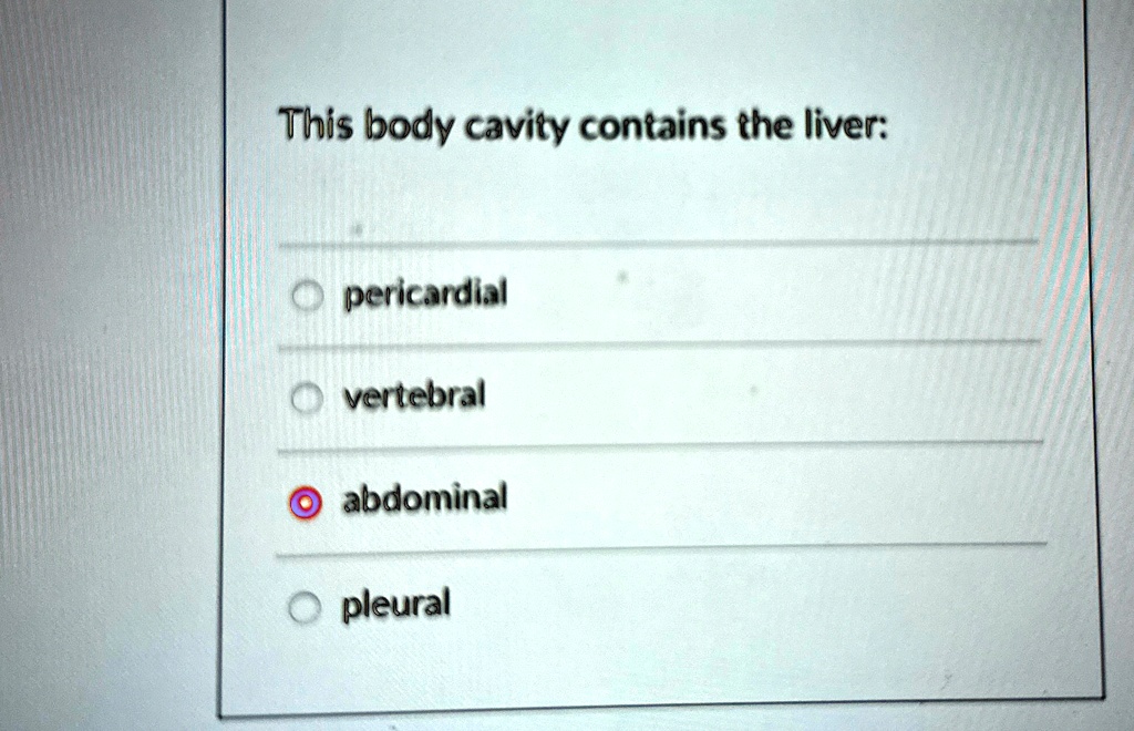 this body cavity contains the liver pericardial vertebral abdominal ...