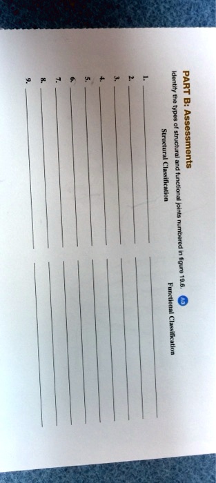 Part B Assessments Identify The Types Of Structural And Functional