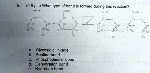 SOLVED: (0.5 pts) What type of bond is formed during this reaction ...