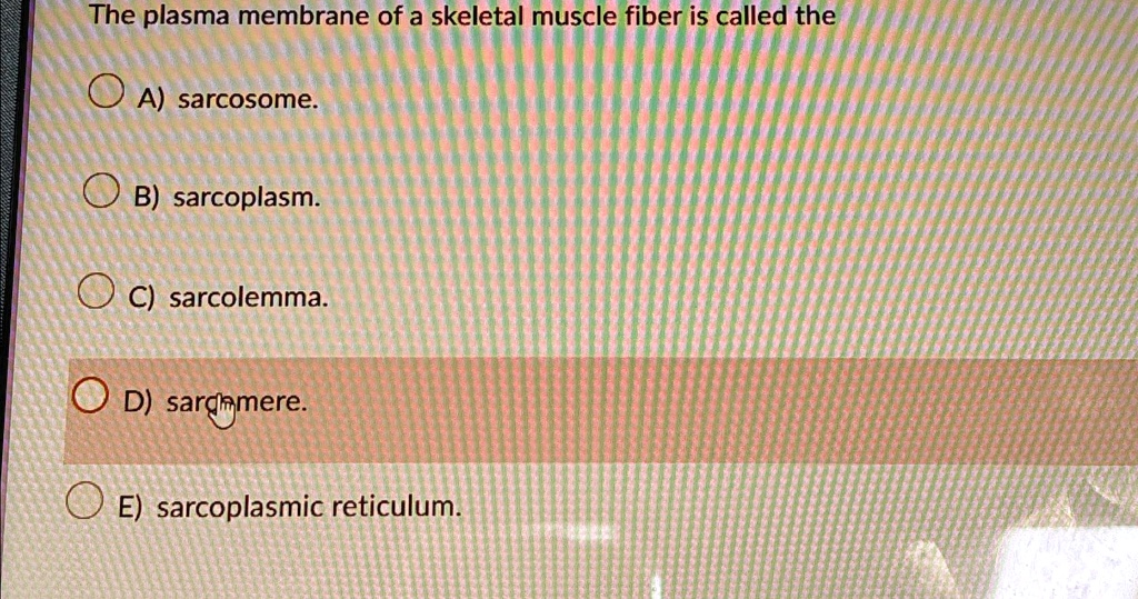 the plasma membrane of a skeletal muscle fiber is called the a ...