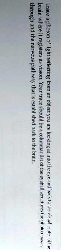 SOLVED: Through the nervous pathway that is established back to the ...