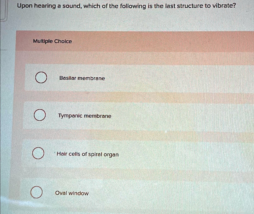 SOLVED: Upon hearing a sound, which of the following is the last structure to vibrate? Multiple ...
