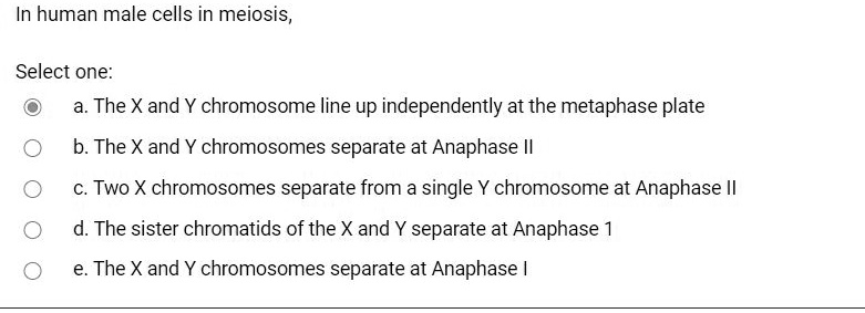 in human male cells in meiosis select one the x and y chromosome line ...
