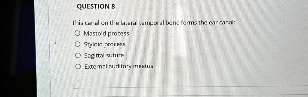 question 8 this canal on the lateral temporal bone forms the ear canal ...