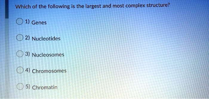 SOLVED: Which of the following is the largest and most complex ...