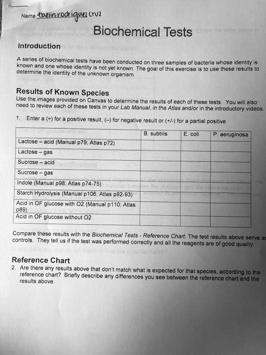 Name Rbelin Rodriguuz Ruz Biochemical Tests Introduction Series 0f