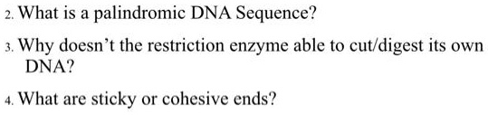Solved What Is A Palindromic Dna Sequence Why Doesnt The Restriction Enzyme Able To Cut 7304