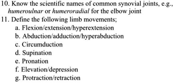 SOLVED: 10. Know the scientific names of common synovial joints, e.g ...