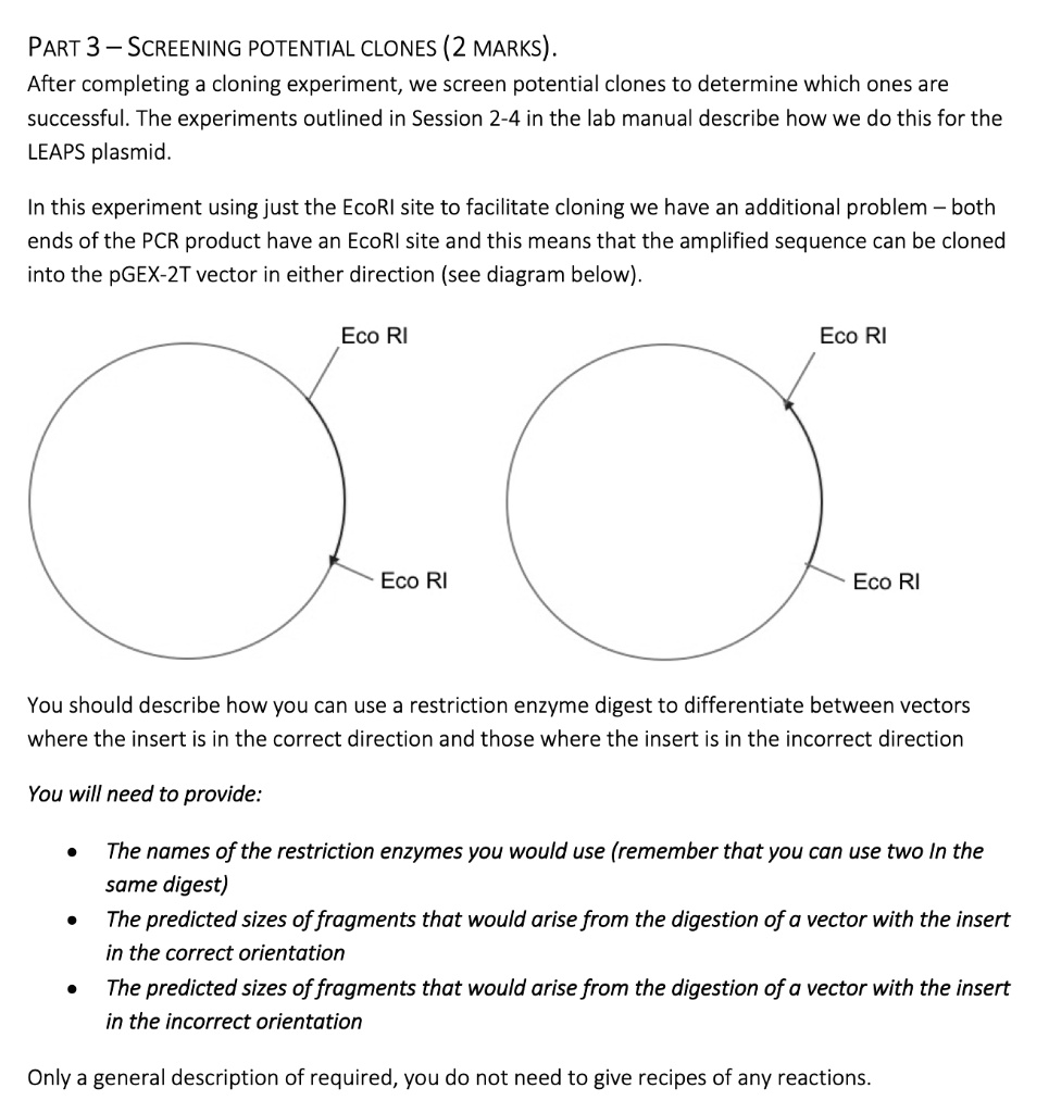 part 3 screening potential clones 2 marks after completing a cloning ...