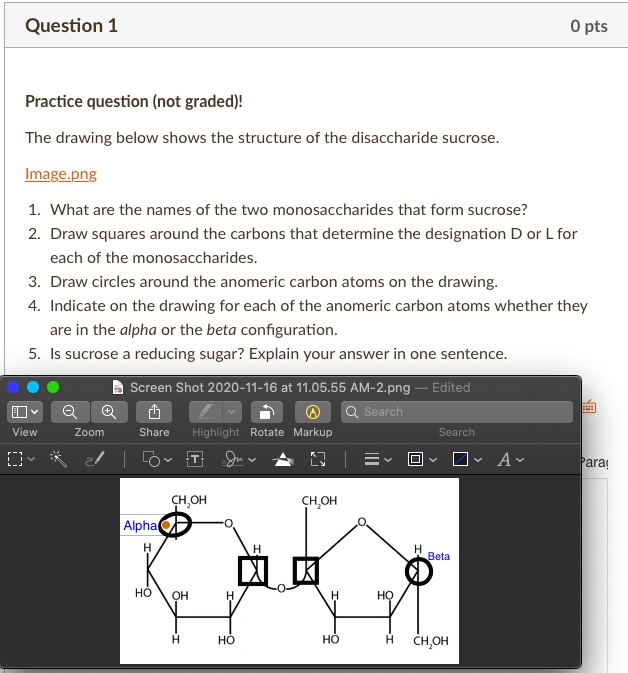 SOLVED: Question 1 0 pts Practice question (not graded)! The drawing below shows the structure ...