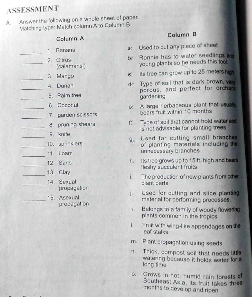 [GET ANSWER] ASSESSMENT A. Answer the following on a whole sheet of ...