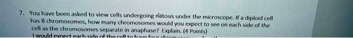 7. You have been asked to view cells undergoing mitosis under the ...