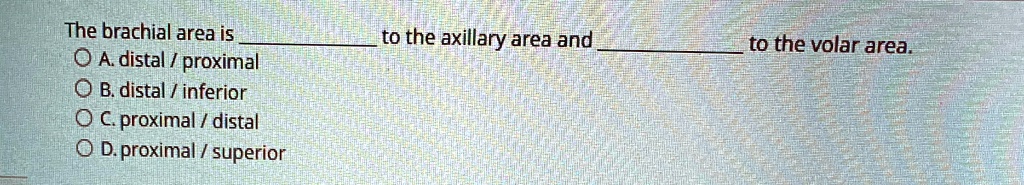 the brachial area is to the axillary area and to the volar area a ...