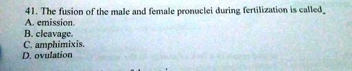 the fusion of the male and female pronuclei during fertilization culled ...