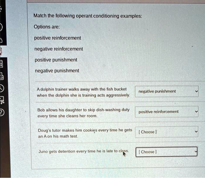 Match the following operant conditioning examples: Options are: positive reinforcement negative ...