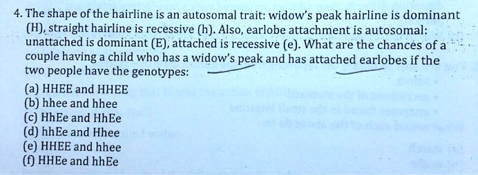 4. The shape of the hairline is an autosomal trait: widow's peak ...