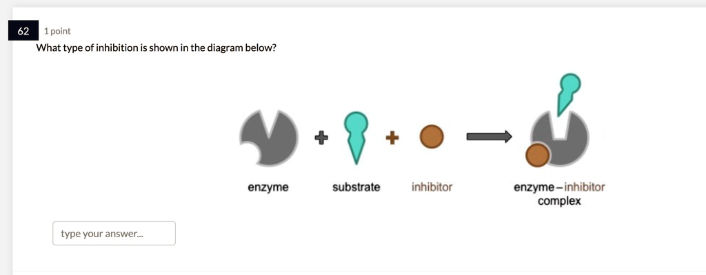 SOLVED: 1point What type of inhibition is shown in the diagram below ...