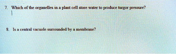 SOLVED: Which of the organelles in a plant cell store water to produce ... SOLVED: Which of the organelles in a plant cell store water to produce ...