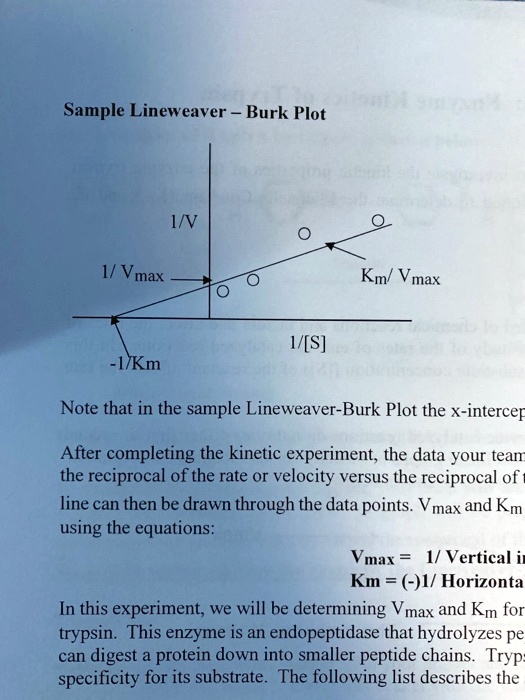 SOLVED: Sample Lineweaver Burk Plot Vmax Km Vmax M[S] -IKm Note that in ...