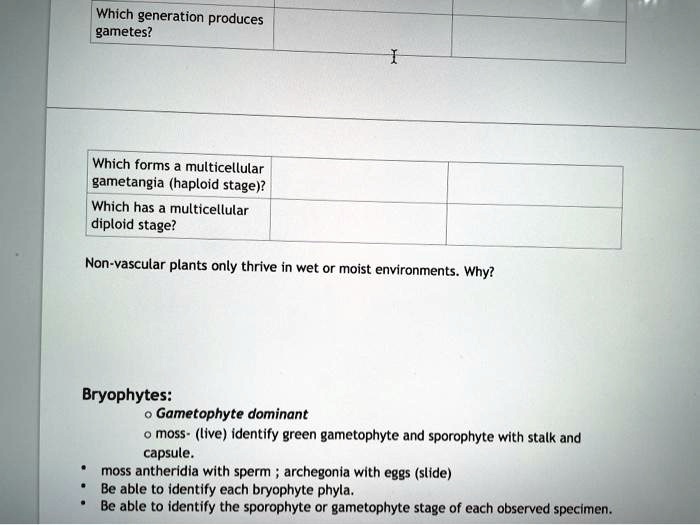 SOLVED: Which generation produces gametes? Which forms multicellular ...
