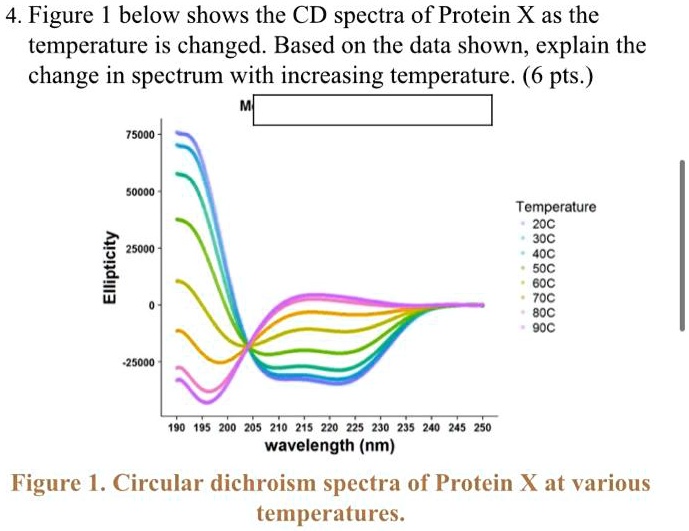 figure below shows the cd spectra of protein x as the temperature is ...
