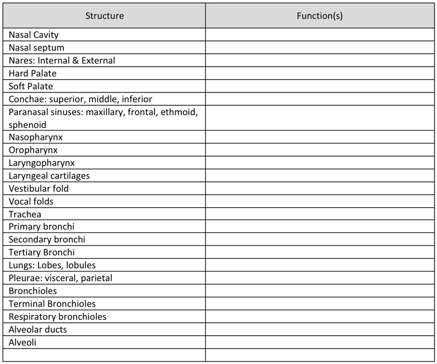Complete the table below: Structure Function(s) Nasal Cavity Nasal ...