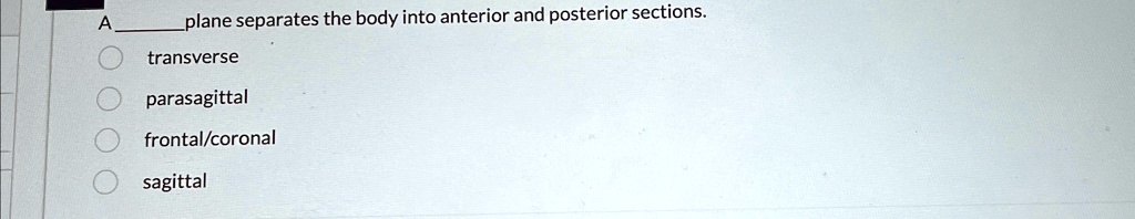 a plane separates the body into anterior and posterior sections ...