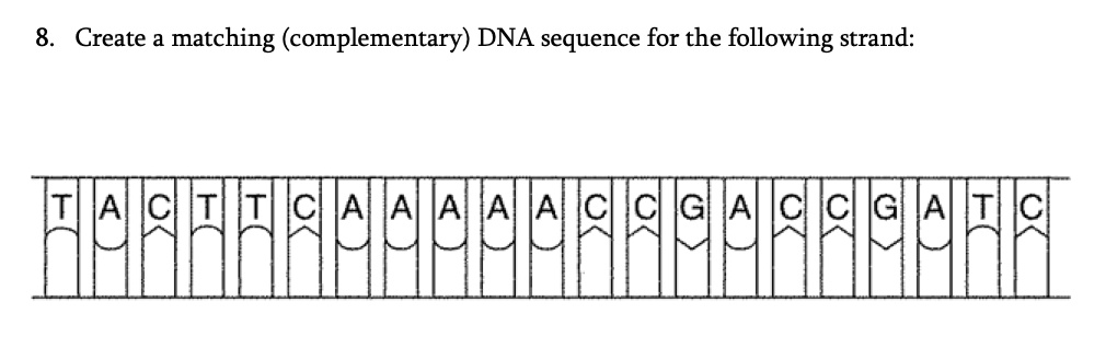 SOLVED: 8 Create a matching (complementary) DNA sequence for the ...