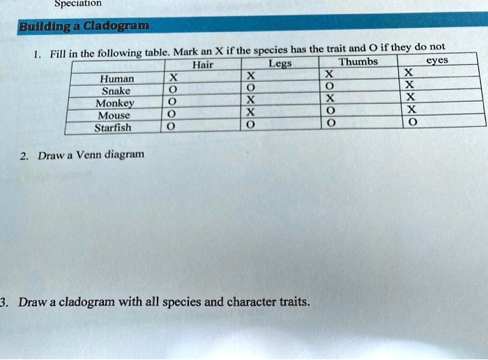 speciation building a cladogram fill in the following table mark an x ifthe species has the ...