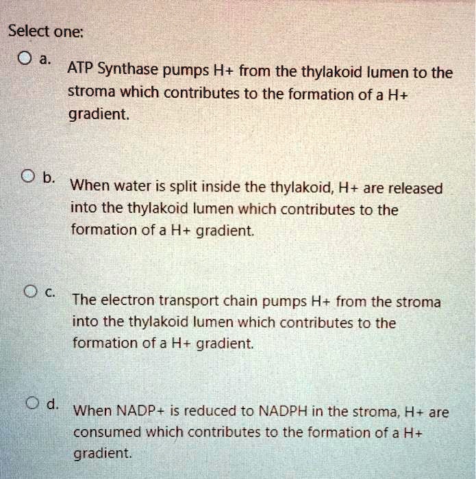 SOLVED: Select one: 0 a ATP Synthase pumps H+ from the thylakoid lumen ...